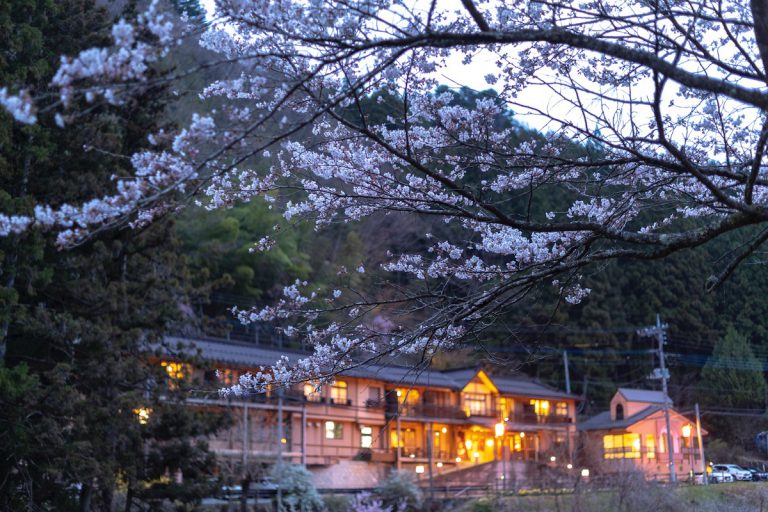 Hanami (Sakura) at Shima Onsen,Best time for cherry blossom