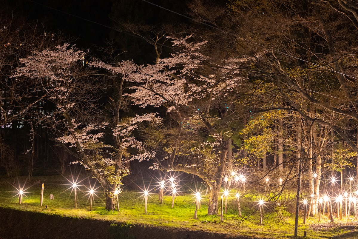 Hanami (Sakura) at Shima Onsen,Best time for cherry blossom