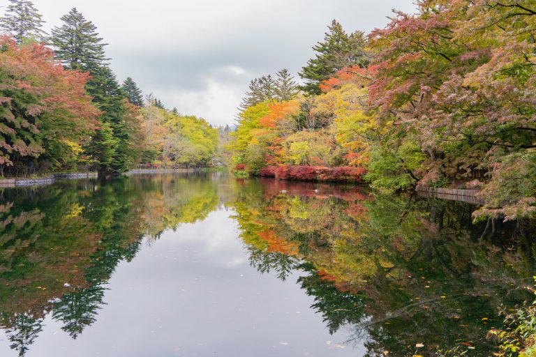 10 Best Places for Autumn Leaves in Kanto 2019
