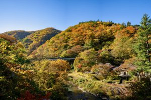 10 Best Places for Autumn Leaves in Kanto 2019